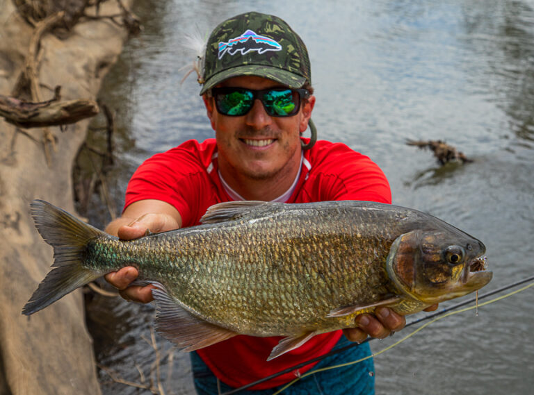 Machaca, Costa Rica's Fruit Eater - Fly Fishing Costa Rica