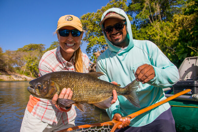 Machaca, Costa Rica's Fruit Eater - Fly Fishing Costa Rica