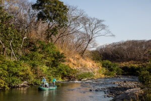Machaca, Costa Rica's Fruit Eater - Fly Fishing Costa Rica