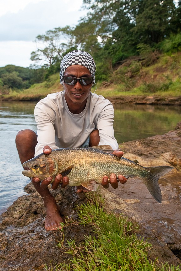 Machaca, Costa Rica's Fruit Eater - Fly Fishing Costa Rica