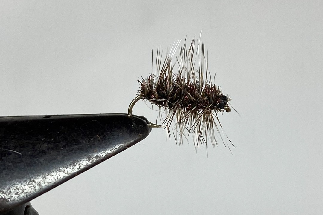 The Best Flies for Costa Rica Trout - Fly Fishing Costa Rica