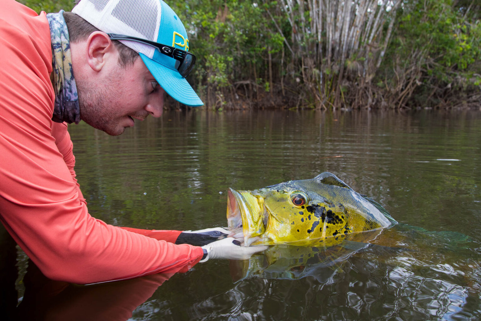 Rio Matavén, Colombia - Fly Fishing Costa Rica